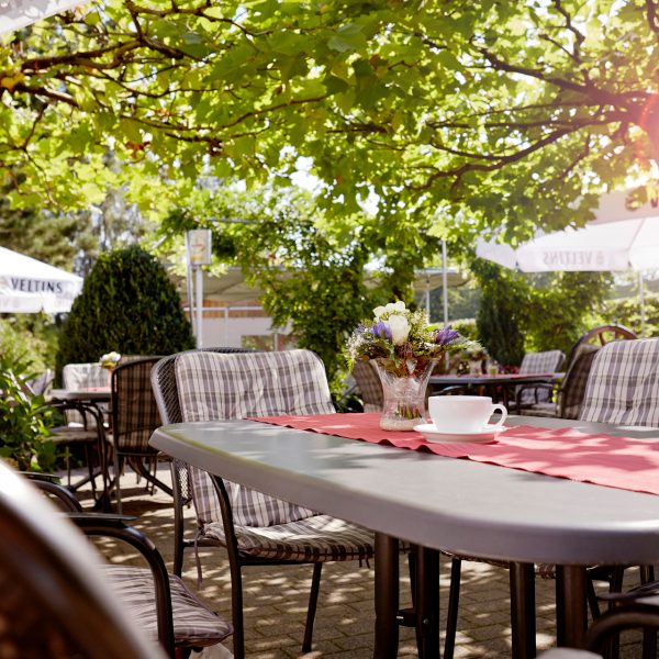Bildergalerie Biergarten – Gasthof zur Schwalbe