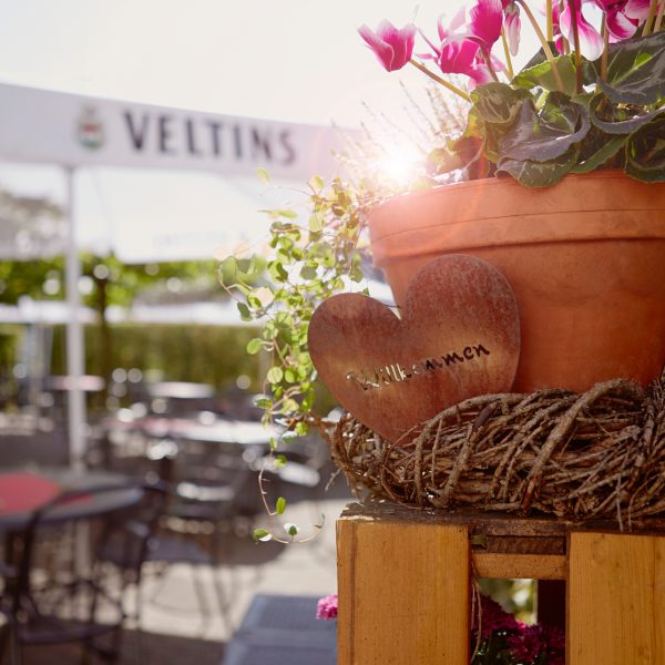 Bildergalerie Biergarten – Gasthof zur Schwalbe